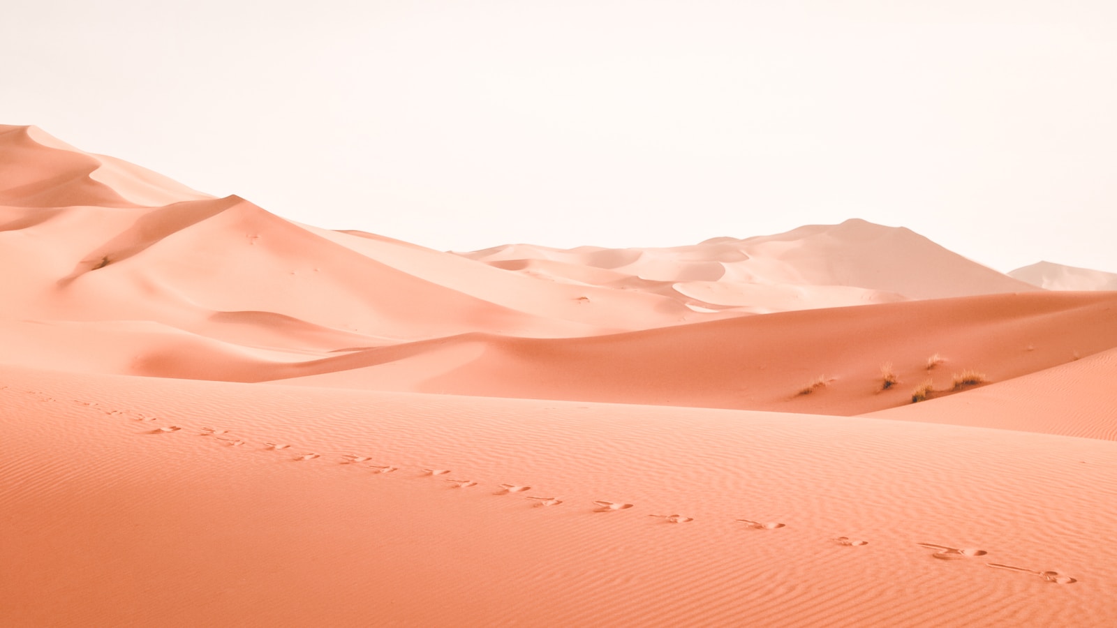 Séjours de luxe dans le désert marocain : Bivouac, hôtels, riads…